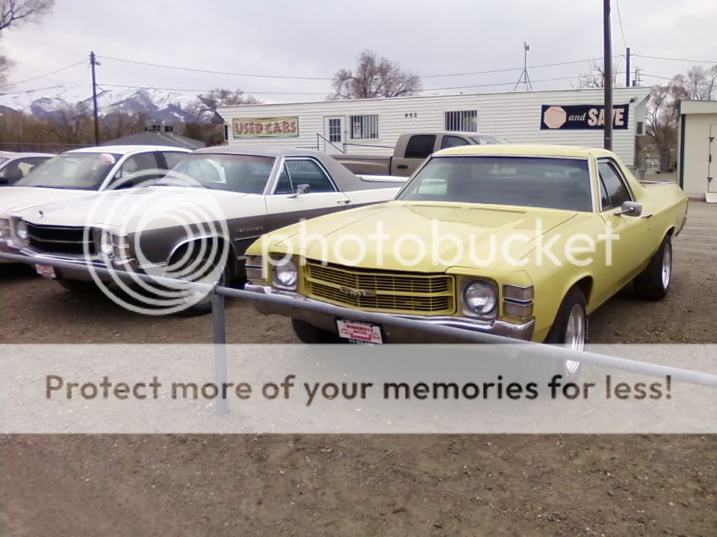 Check out this pair | Team Chevelle